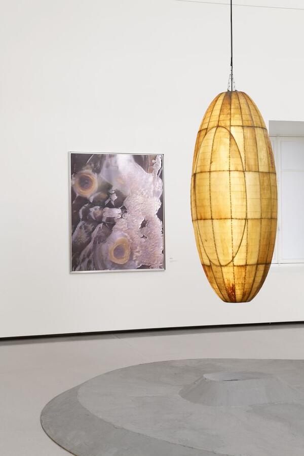 Anicka Yi | Pinault Collection