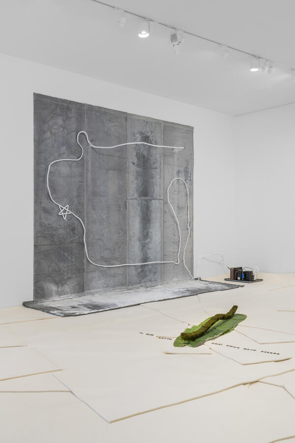 Arte Povera | Pinault Collection