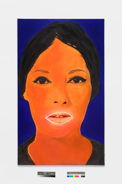 Raysse Peinture à haute tension | Pinault Collection