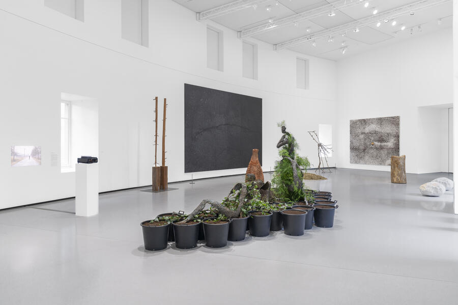 Arte Povera | Pinault Collection